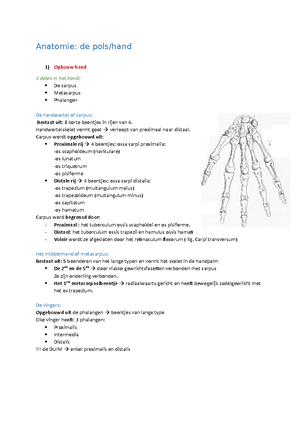 Anatomie-hand-2 - Anatomie: de pols/hand Opbouw hand 3 delen in het ...