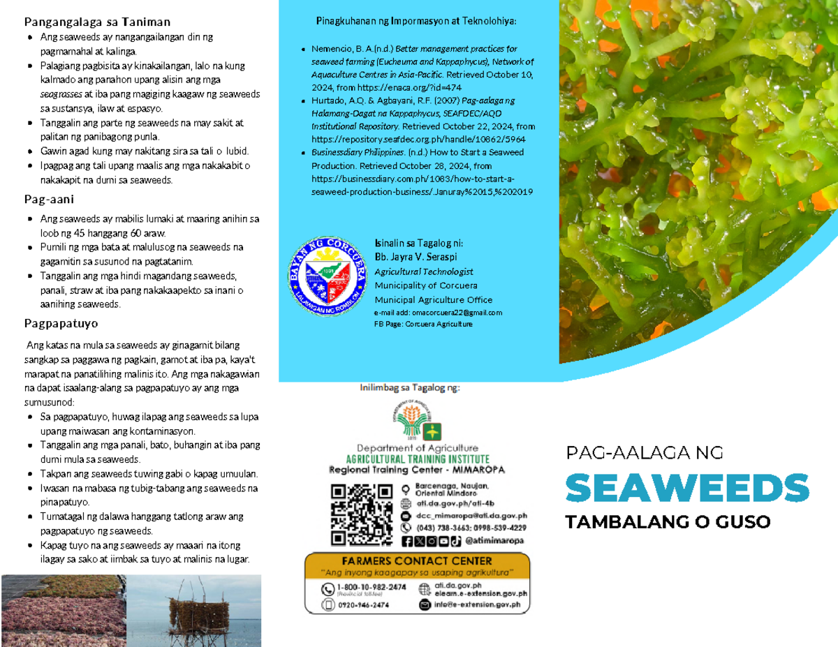 Pag-aalaga ng Seaweeds (Tambalang o Guso) - SEAWEEDS PAG-AALAGA NG ...