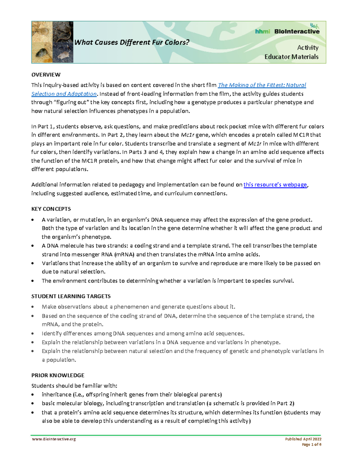 Understanding Variations in Fur Color: Educator Resources (BIO501 ...