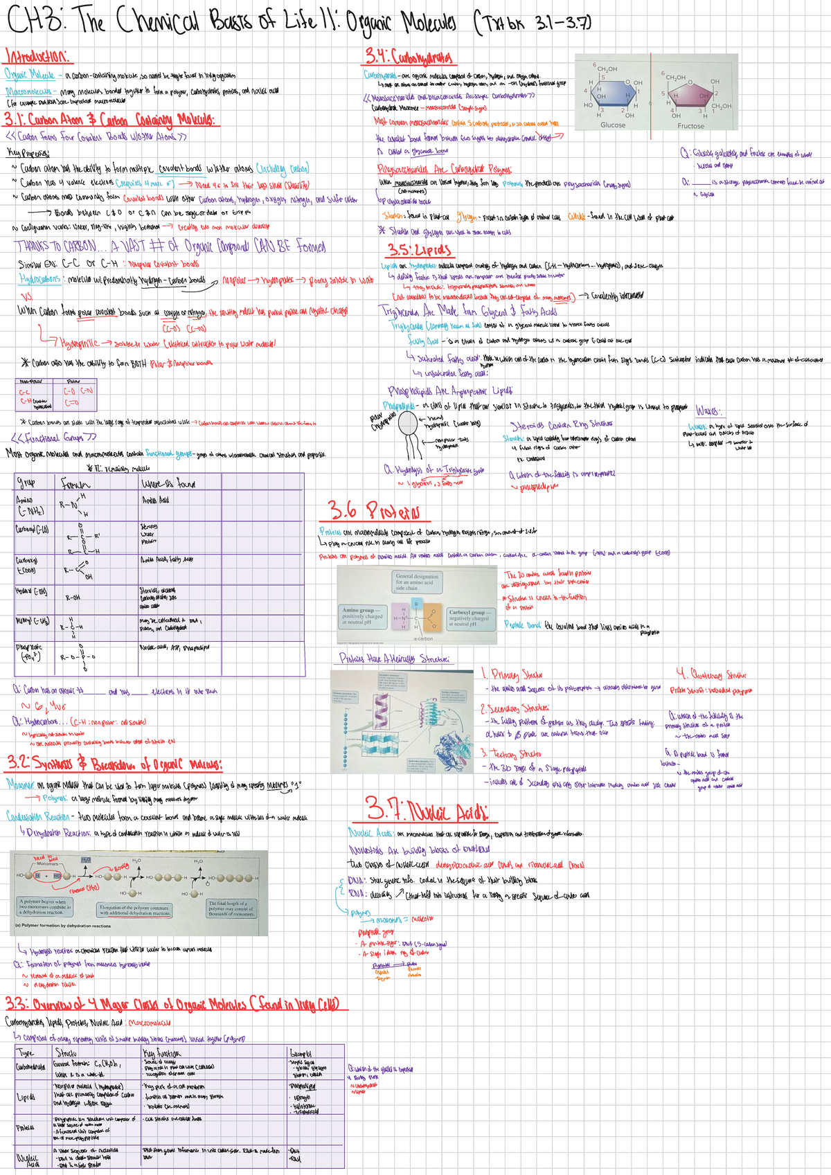 Chapter 3: Organic Molecules Overview - AP Bio Notes - Studocu