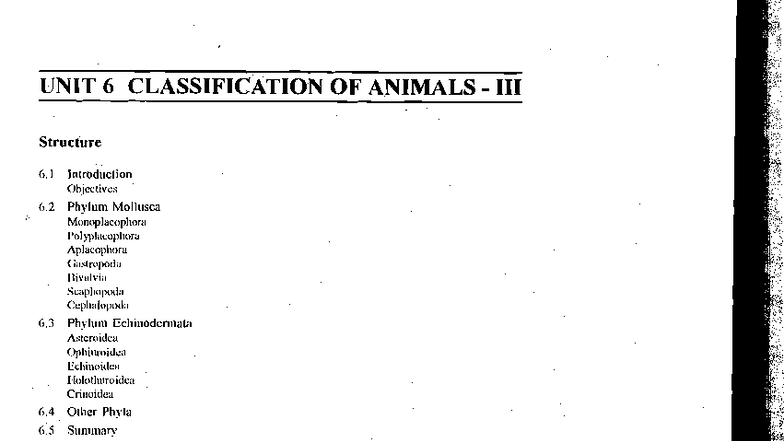 UNIT 6: CLASSIFICATION OF ANIMALS - Phylum Mollusca and Echinodermata ...