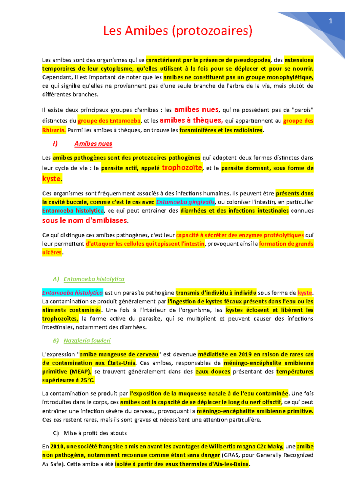 Amibes : Cours sur Protozoaires et Leur Classification - Studocu