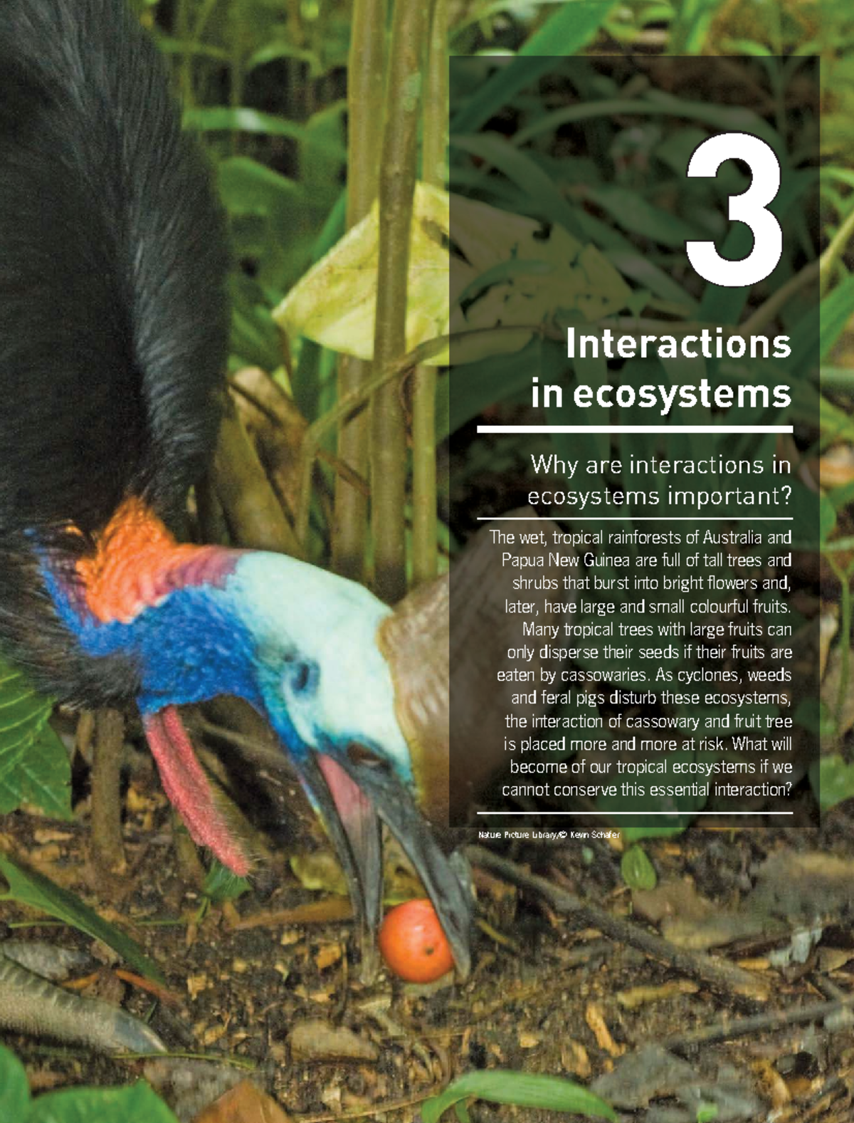Interactions in Ecosystems: The Role of Biotic & Abiotic Factors (SCI ...
