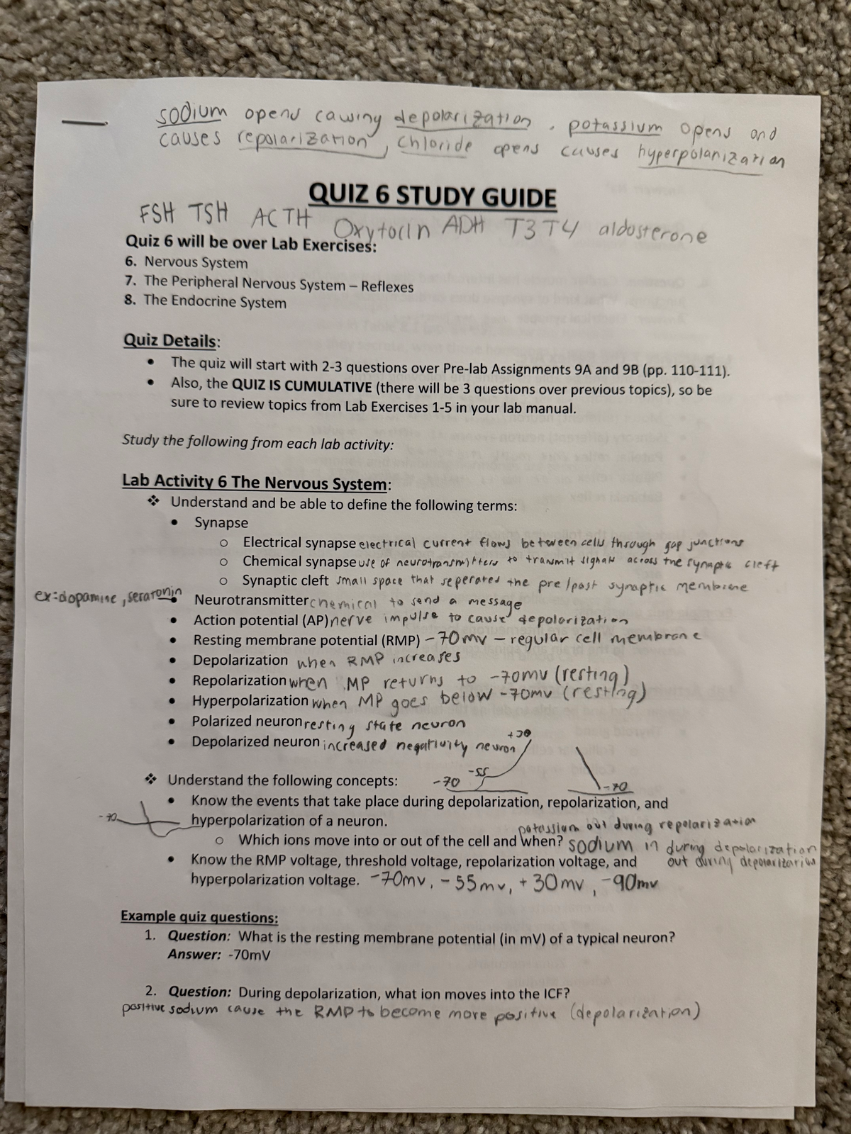 Title: Comprehensive Study Notes for Course XYZ 101: Final Exam ...