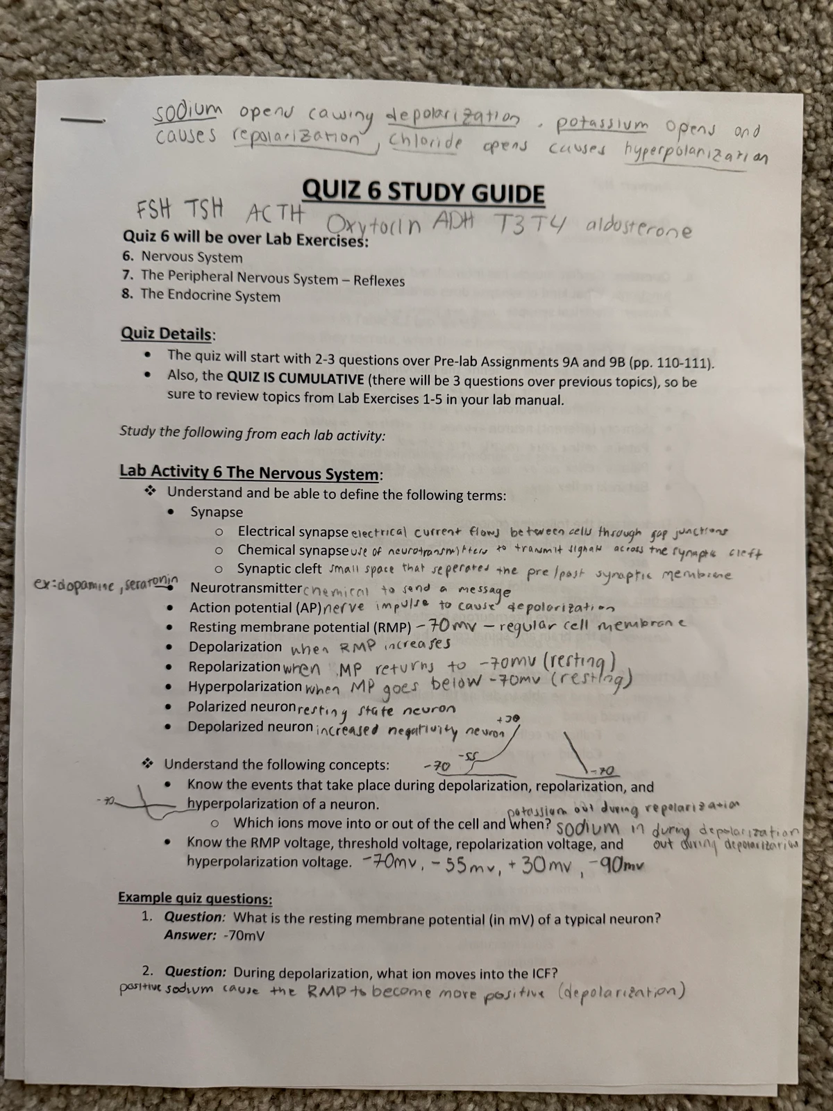 Comprehensive Study Notes for Course XYZ: Essential Concepts and ...