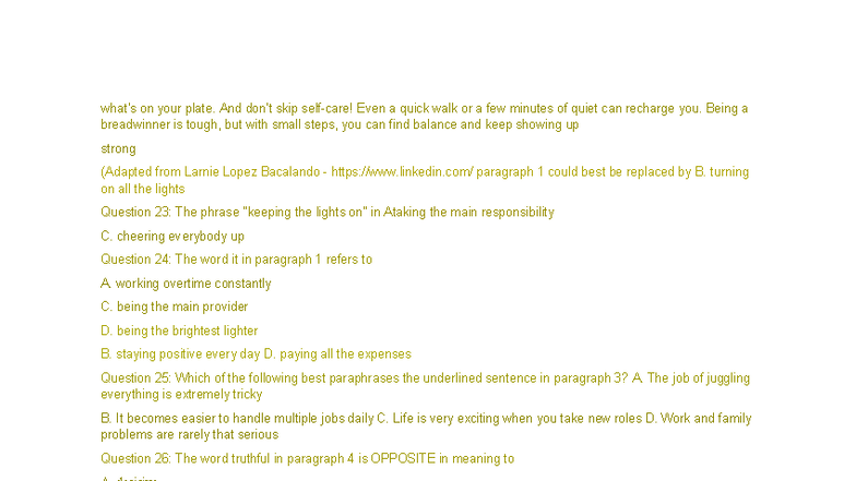 IE3 - Balancing Responsibilities: Insights on Vietnamese Family Values ...