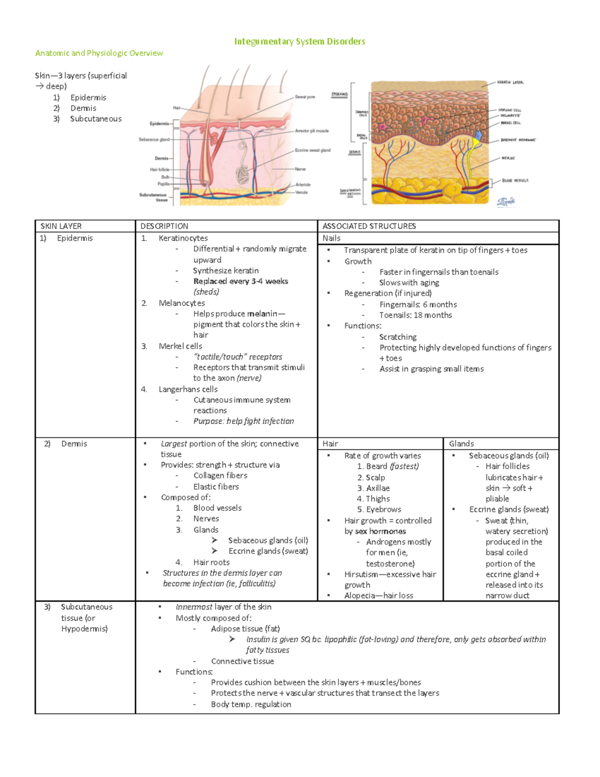 Integumentary System Disorders - Comprehensive Study Notes - Studocu