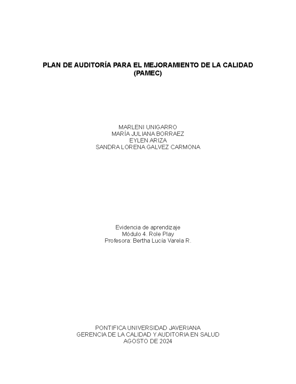 PAMEC-02 - Plan de Auditoría para Mejora de Calidad en Hospital 2024 ...