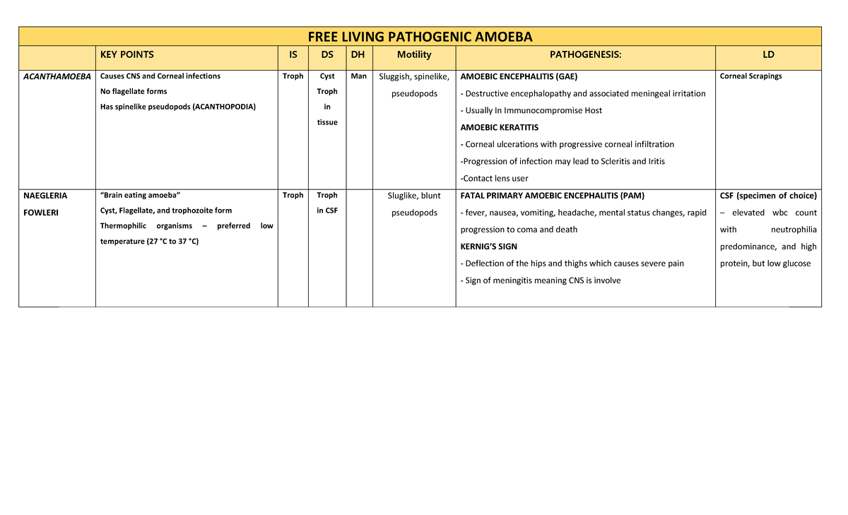 DS DH Final Exam: Key Points on Free Living Pathogenic Amoeba - Studocu