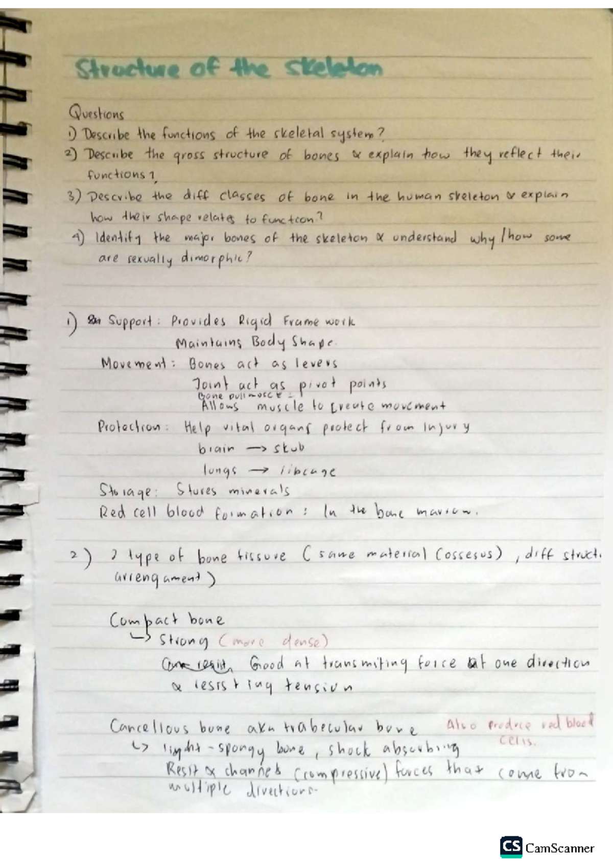 LR R EE - Functions and Structure of the Skeletal System - Studocu