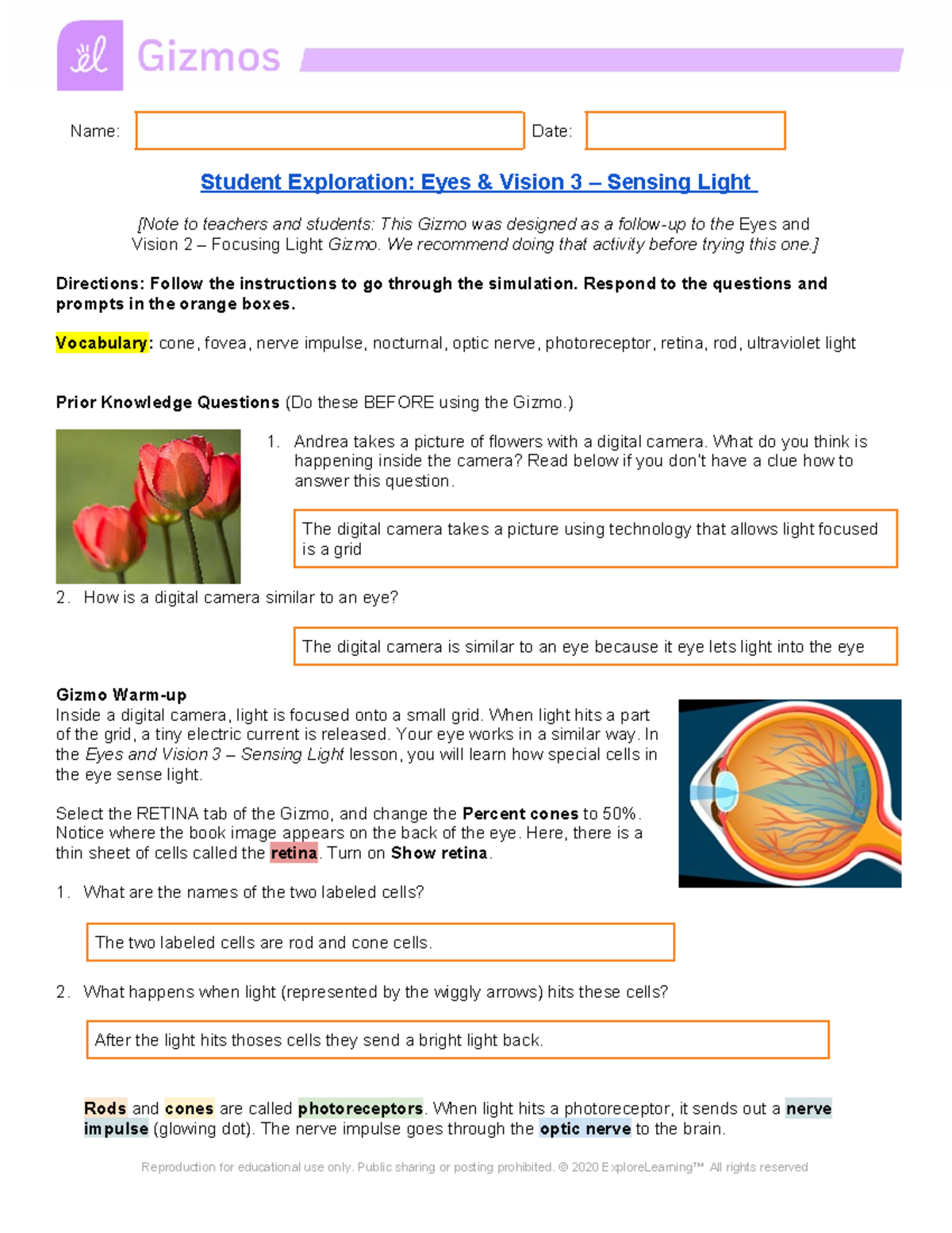 Eyes and Vision 3: Sensing Light Gizmo Exploration Guide - Studocu