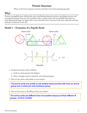 U3M3A2 - Cellular Respiration Pogil - Cellular Respiration—An Overview ...