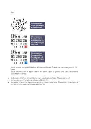 GCSE PE Revision: Understanding Mechanical Advantage in Levers - Studocu