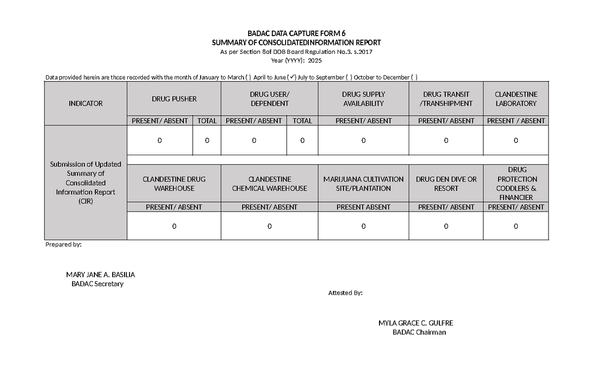 BADAC DATA CAPTURE FORM 6: 2025 Summary of Consolidated Info Report ...