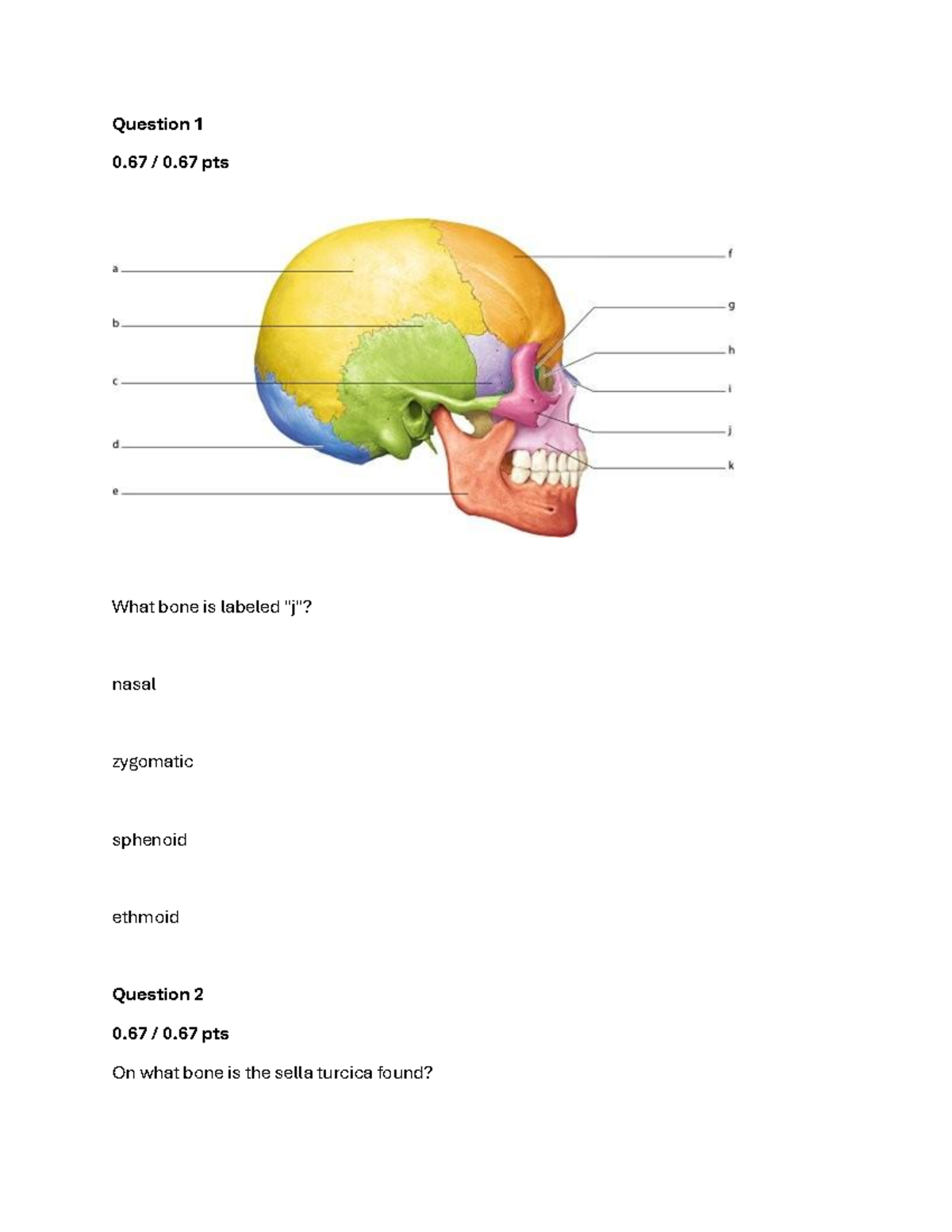 Human AP TEST 1 - Essential Study Notes for Anatomy - Studocu