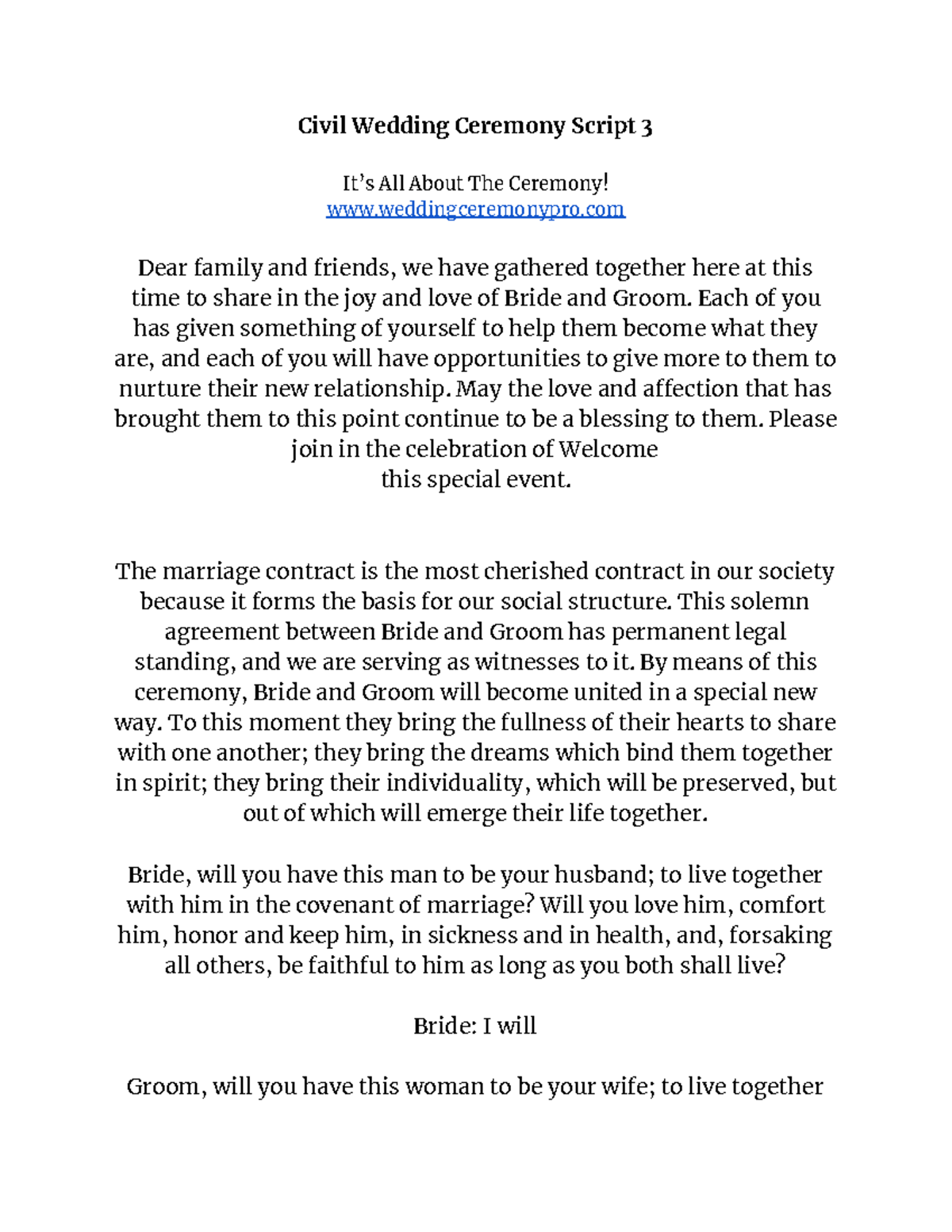 Wedding script examples 60 photos - Astyledwedding.com