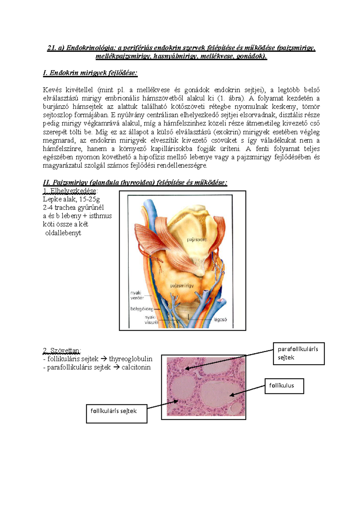 Endokrinológia: Perifériás mirigyek működése és hormonaleválasztás ...