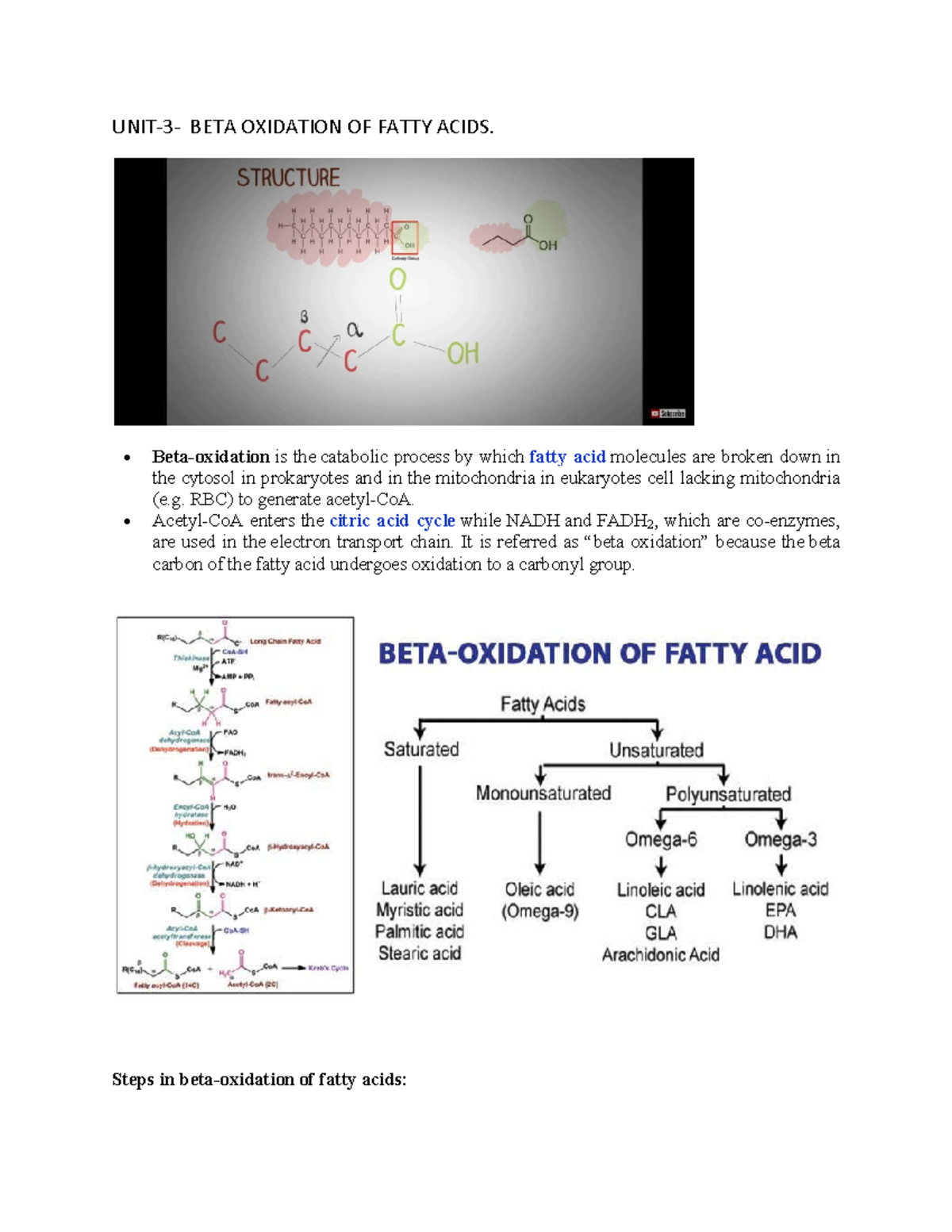 BETA OXIDATION OF FATTY ACIDS: A DETAILED OVERVIEW OF THE PROCESS - Studocu