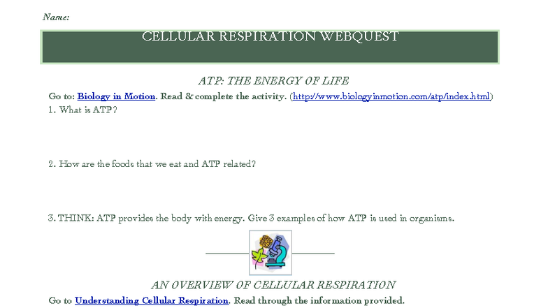 Biology 101: Cellular Respiration Webquest and Overview - Studocu