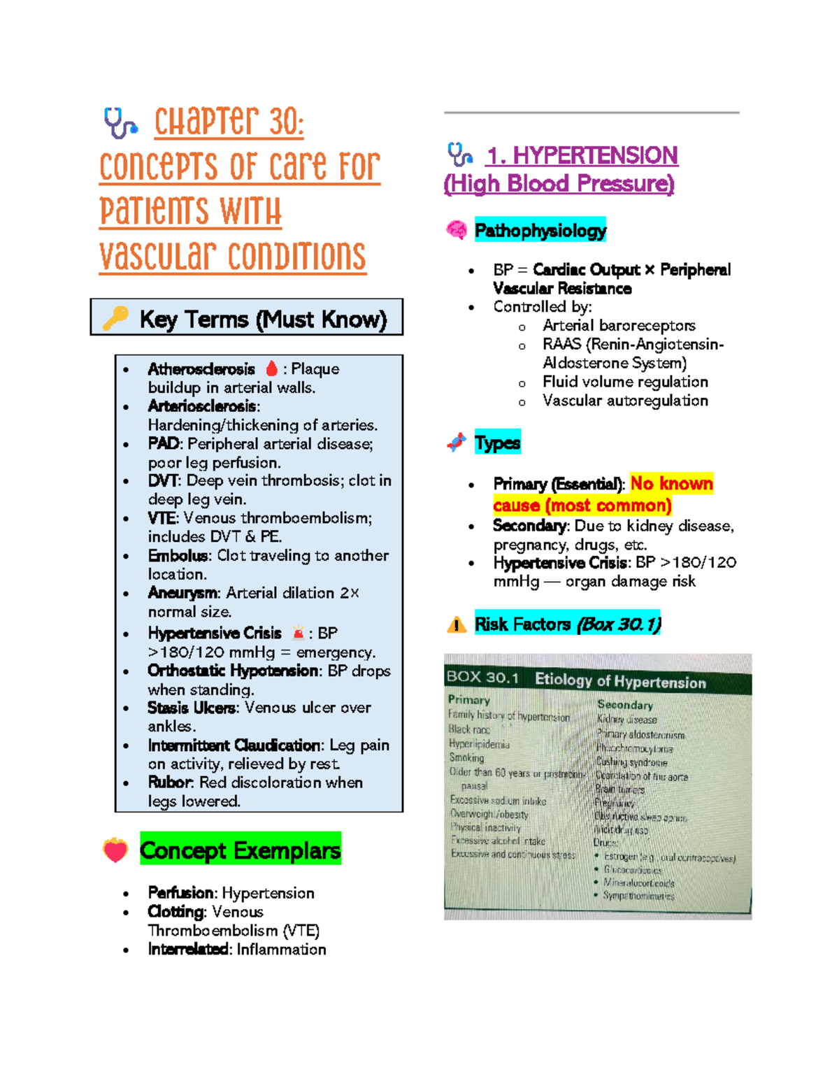 Chapter 30: Key Concepts in Vascular Patient Care and Management - Studocu