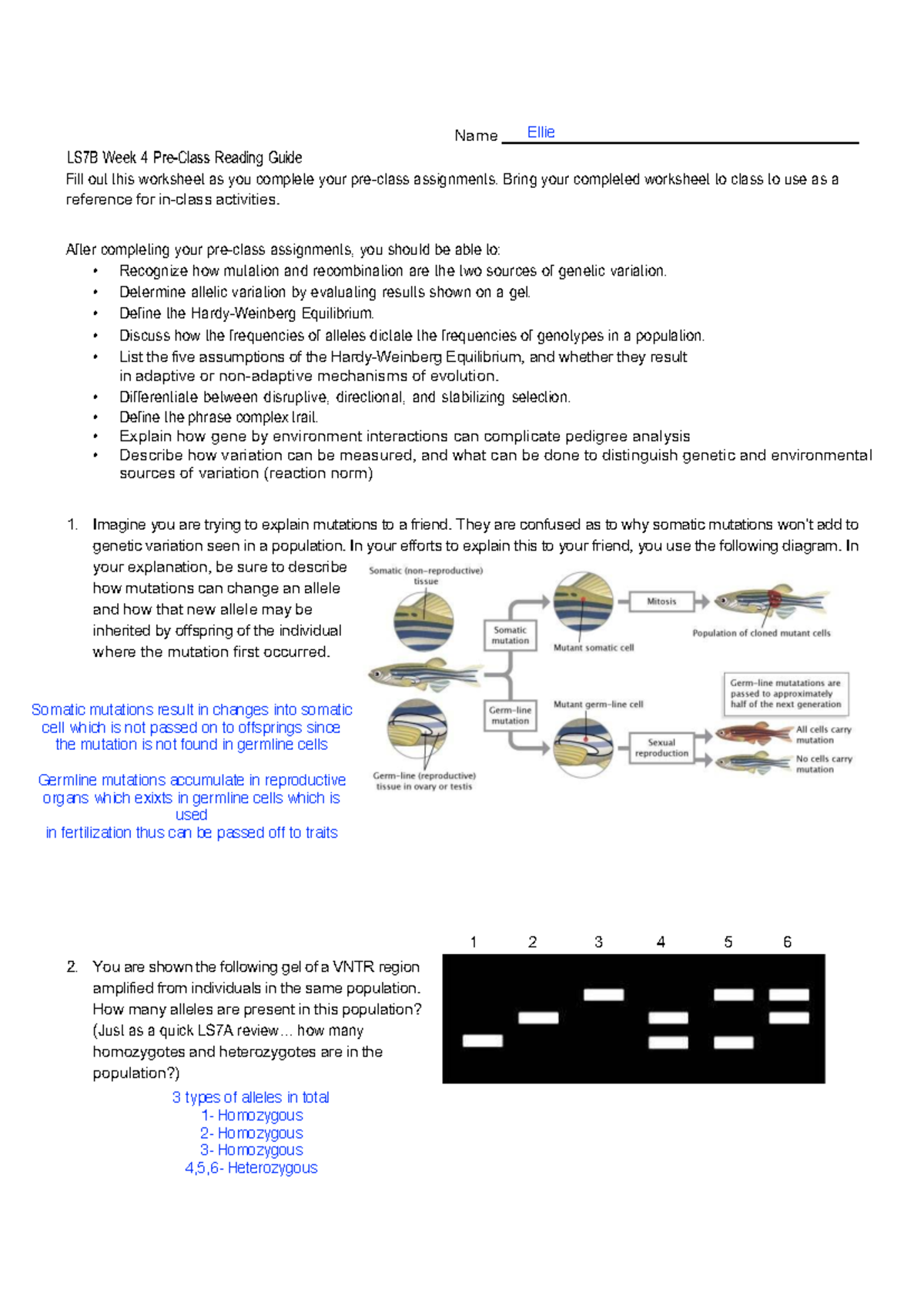 LS7B Week 4 Pre-Class Reading Guide on Genetic Variation and ...