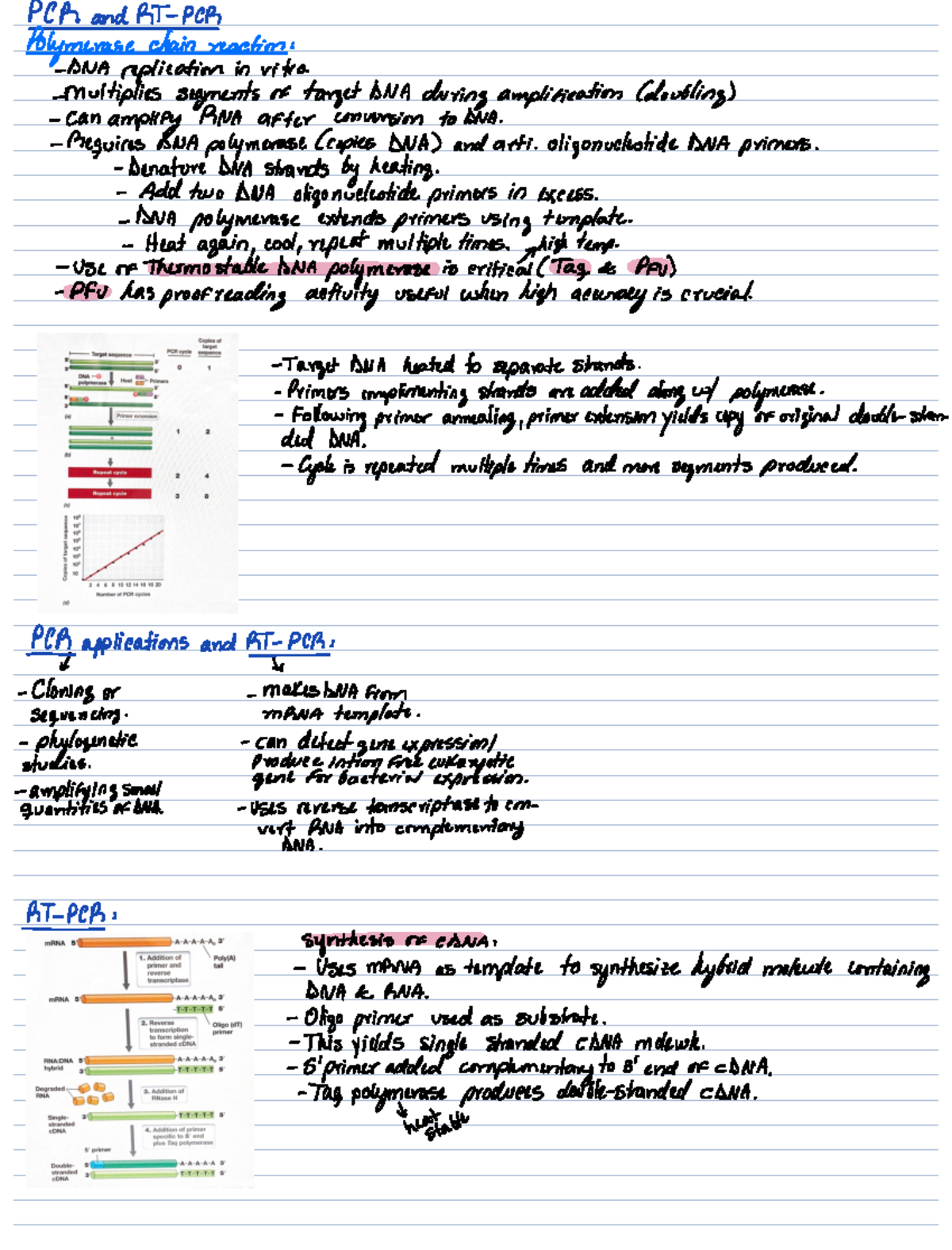 Biotechnology and synthetic biology - PCR and RTPCR Polymerase chain ...