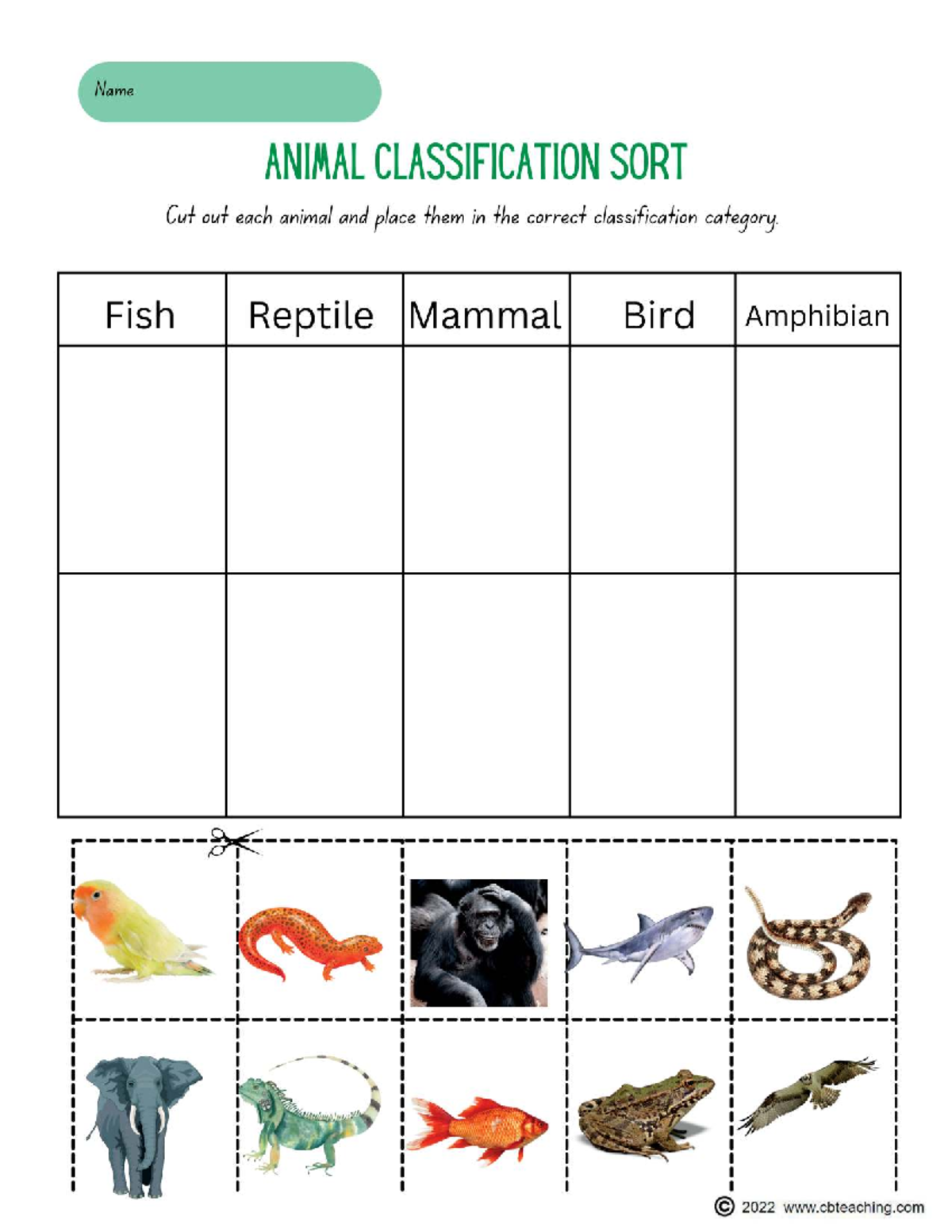 Animal Classification Sort Freebie-1 - Ciências e Tecnologia - Name ...