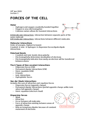 [Solved] How do I draw concentration against time on a graph - Human ...