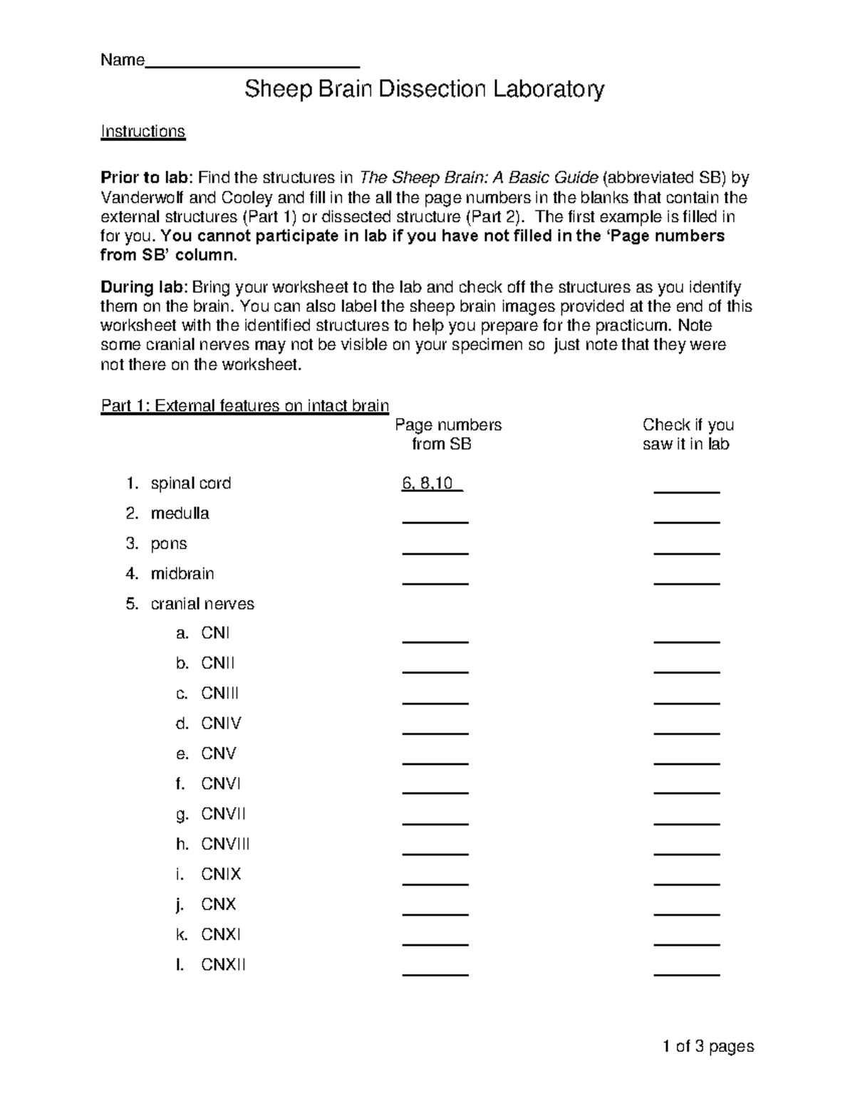Sheep Brain Dissection Lab Worksheet - Instructions & Checklists - Studocu