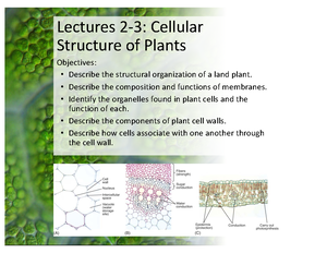 Lecture 5: Overview of Plant Tissue Types and Functions in Vascular ...