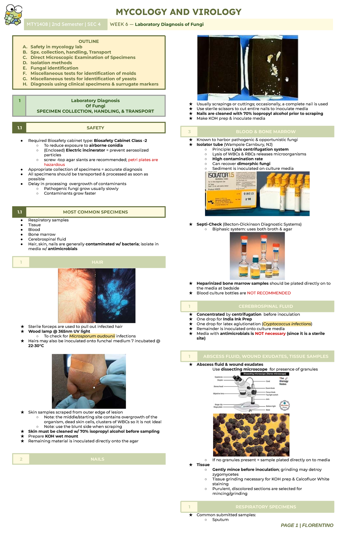 WEEK 6 Lab Diagnosis of Fungi - MYCOLOGY AND VIROLOGY MTY1408 - Studocu