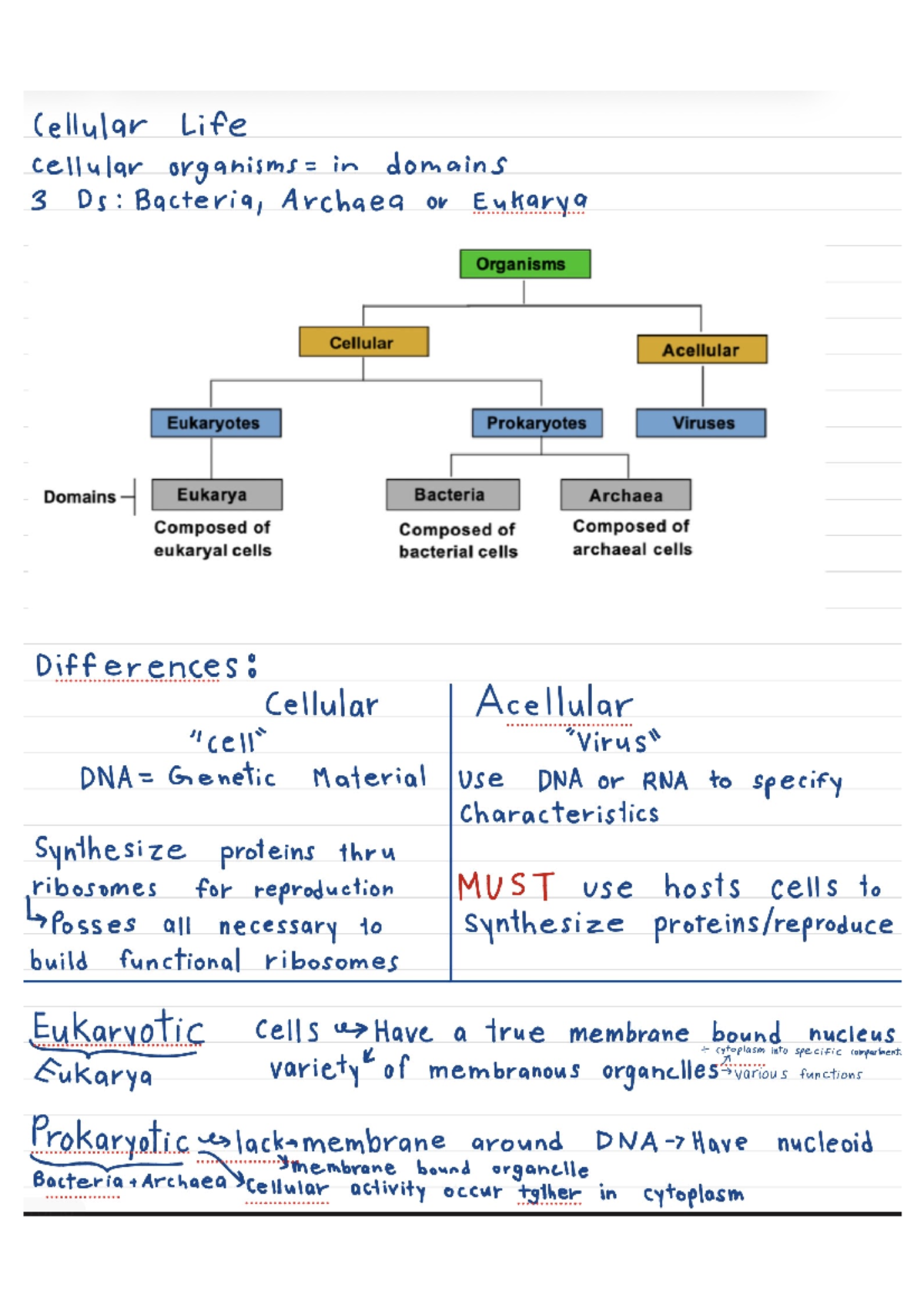 Cellular Life Notes: Bacteria, Archaea, and Eukarya Domains - Studocu
