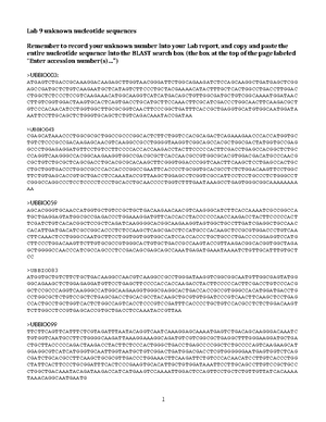 Layers of the Atmosphere Virtual Lab - Period: 10 Due: 1/24/ Layers of ...