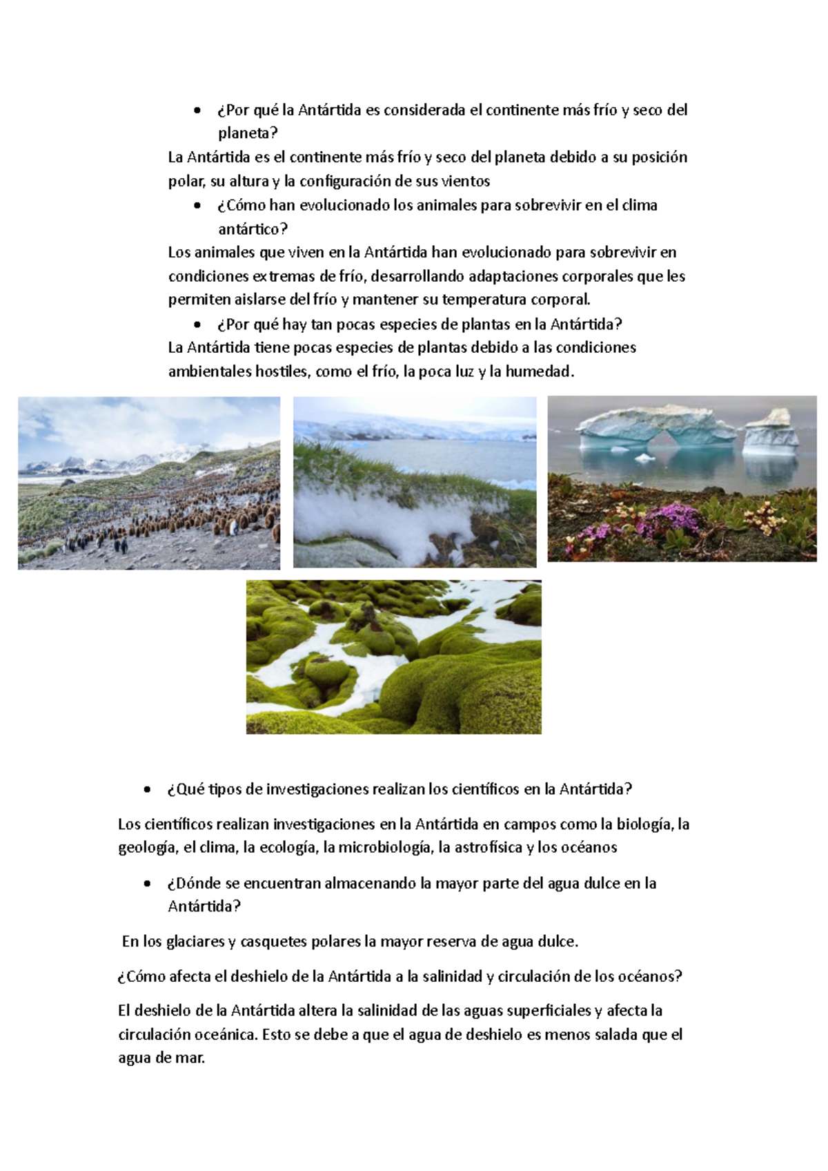 Antártida - resumen academico - ¿Por qué la Antártida es considerada el ...
