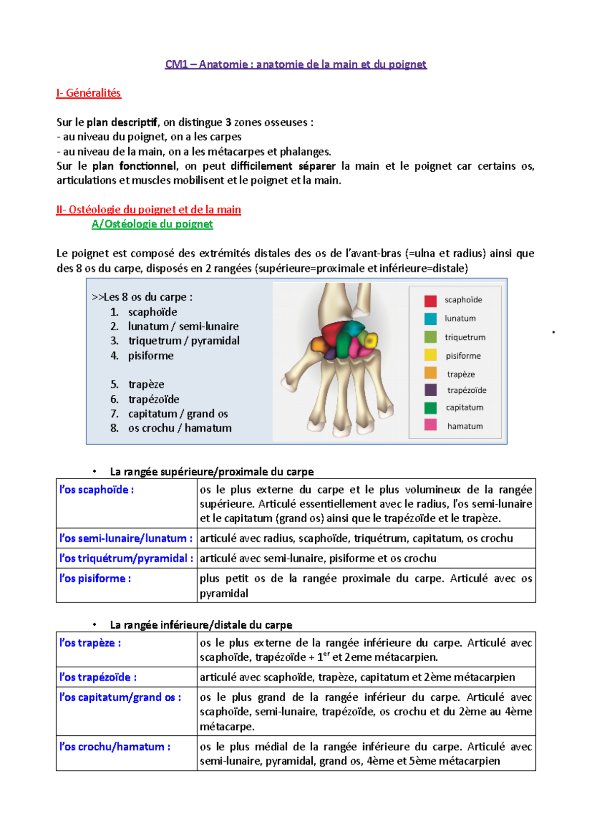 Anatomie - CM1 & 2 : Poignet, Main, Cheville et Pied - Studocu