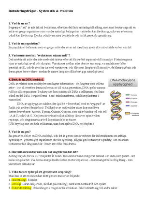 Samhällskunskap ideologier - KONSERVATISM Vilka partier i riksdagen har ...