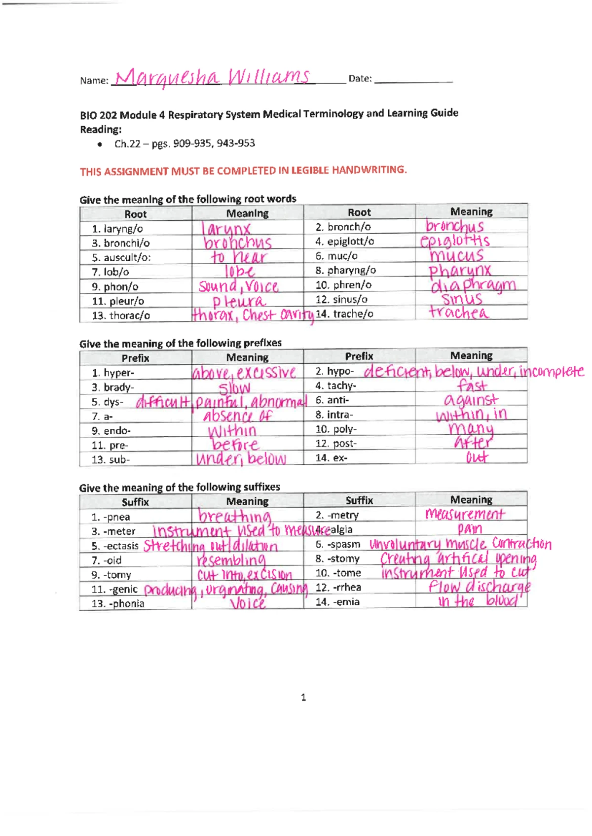 BIO 202 Module 5 Nervous System I Medical Terminology Notes - Studocu