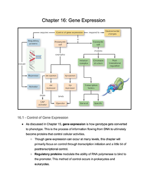 Gene Expression and Mutation Dynamics in Eukaryotes and Prokaryotes ...