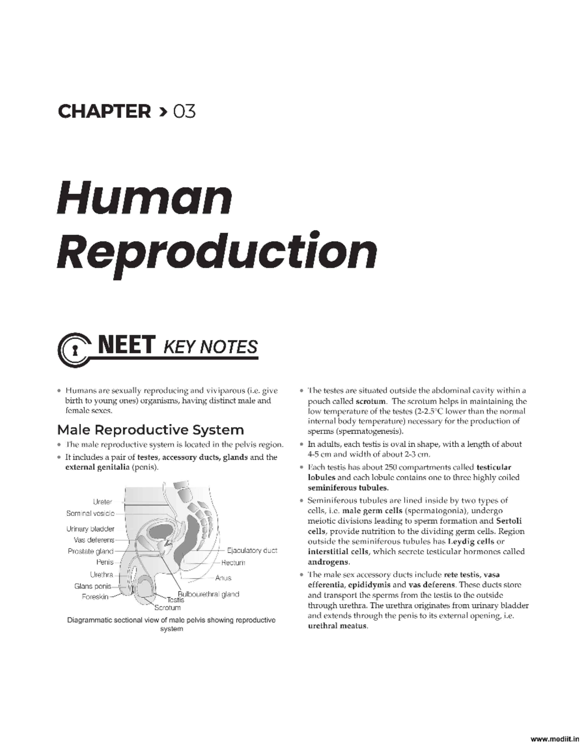 HRP Ncert Mcqs - X2c2c - CHAPTER 03 Human Reproduction NEET KEY NOTES ...