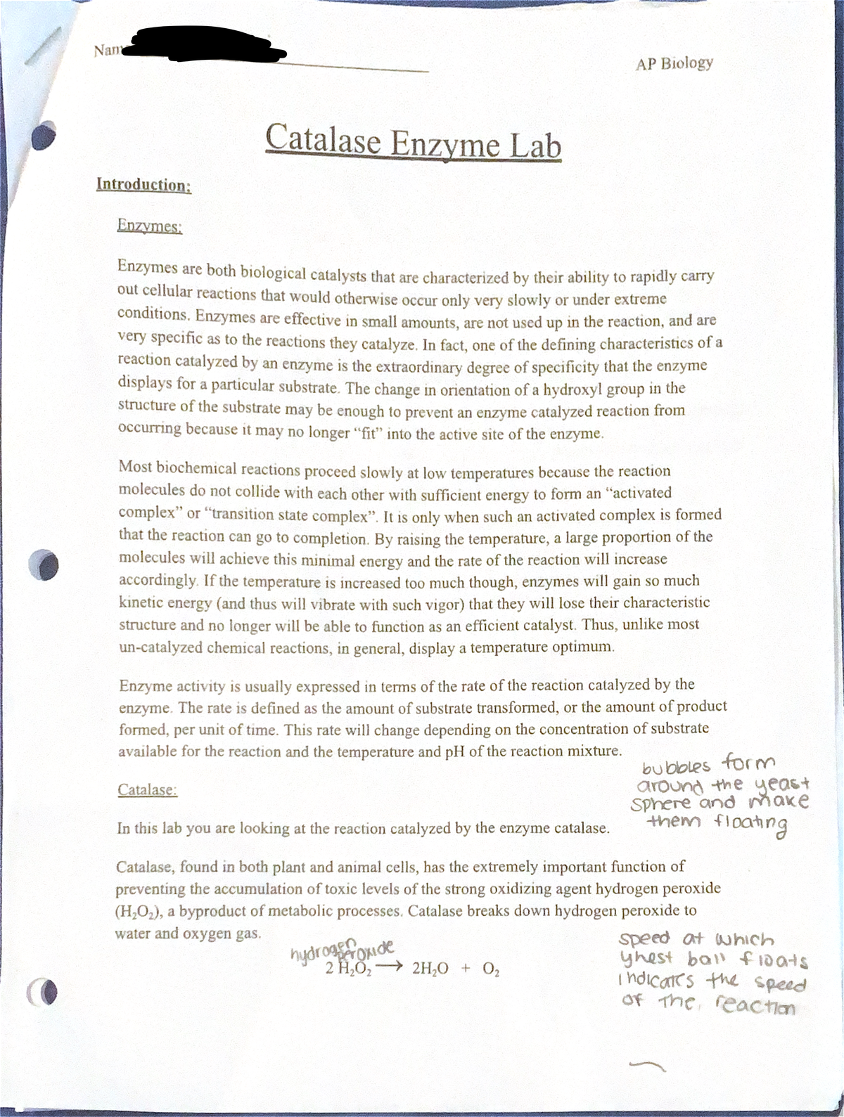 Catalase Enzyme Lab (Nov 15, 2023 at 3:32 PM) - Studocu