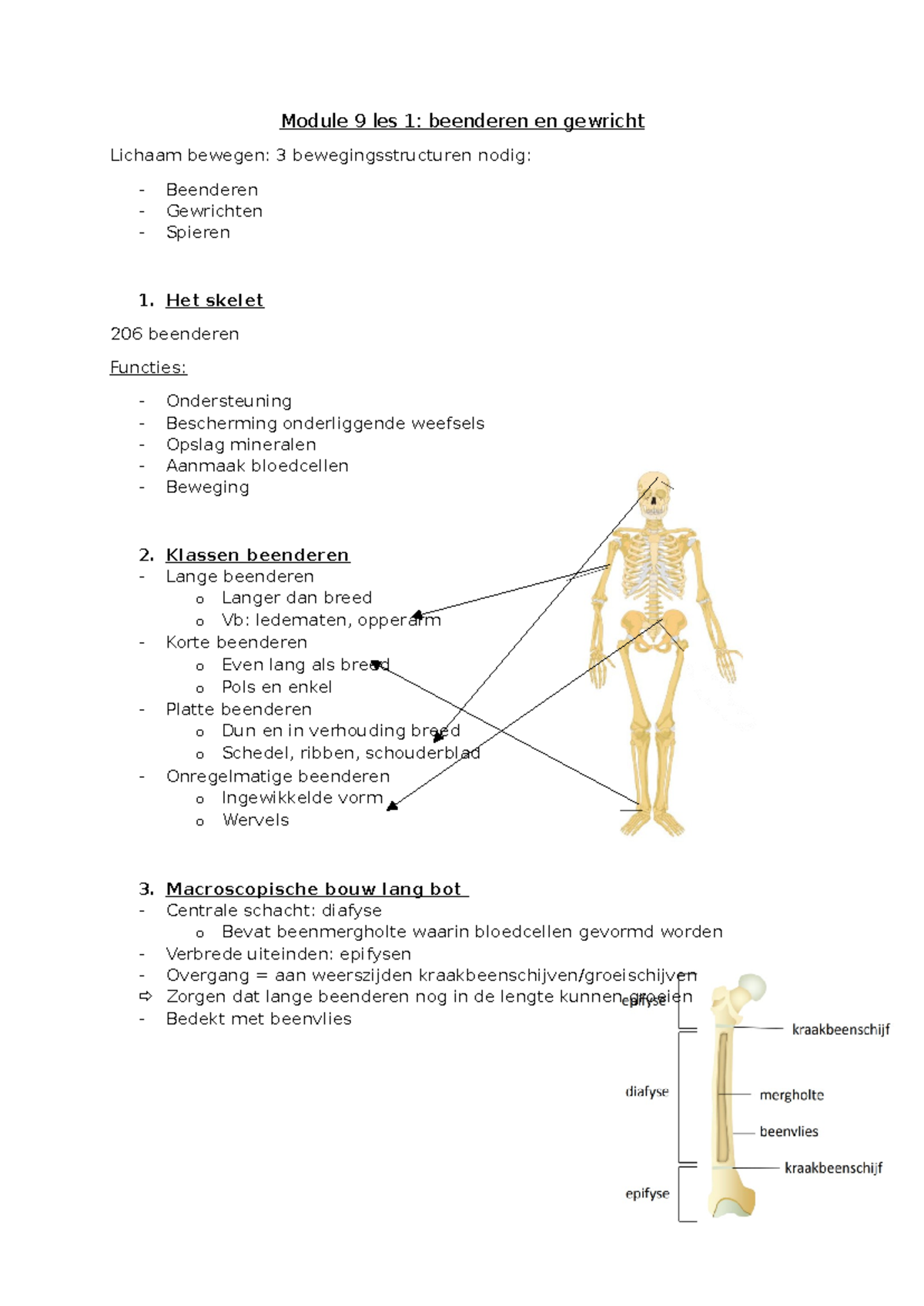 Samenvatting Toelatingsexamen Arts Botten En Gewrichten Module 9 Les