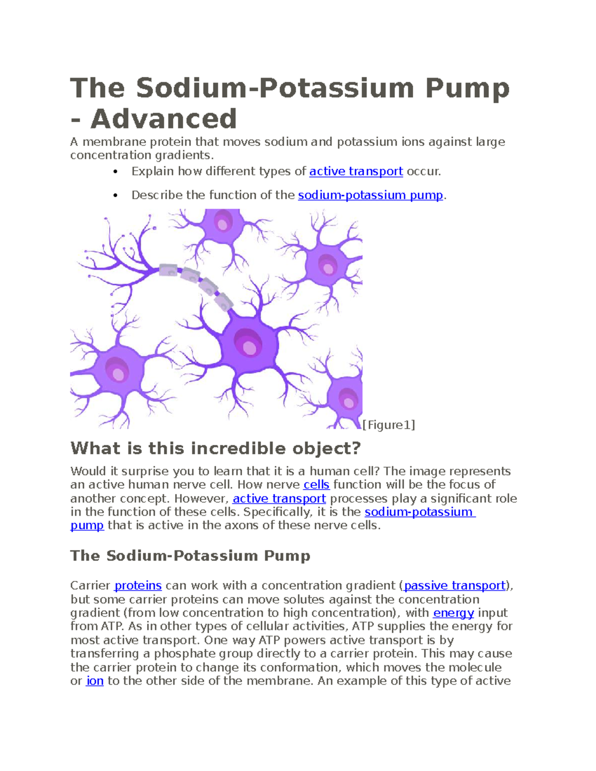 Biology study guide part 5 - The Sodium-Potassium Pump - Advanced A ...