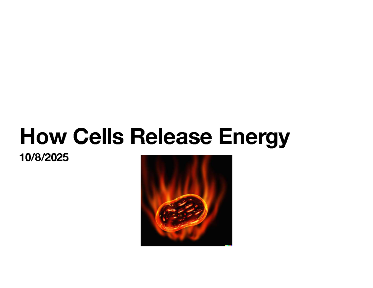 How Cells Release Energy: Glycolysis & Aerobic Respiration (BIO101 ...