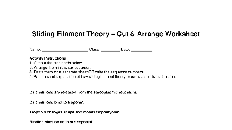 Sliding Filament Theory Activity Worksheet (No Numbers) - Studocu