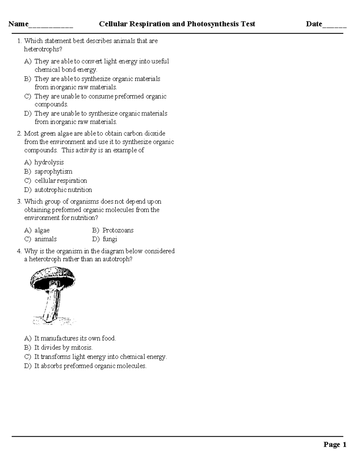 Cellular Respiration and Photosynthesis Test C2: Key Concepts and ...