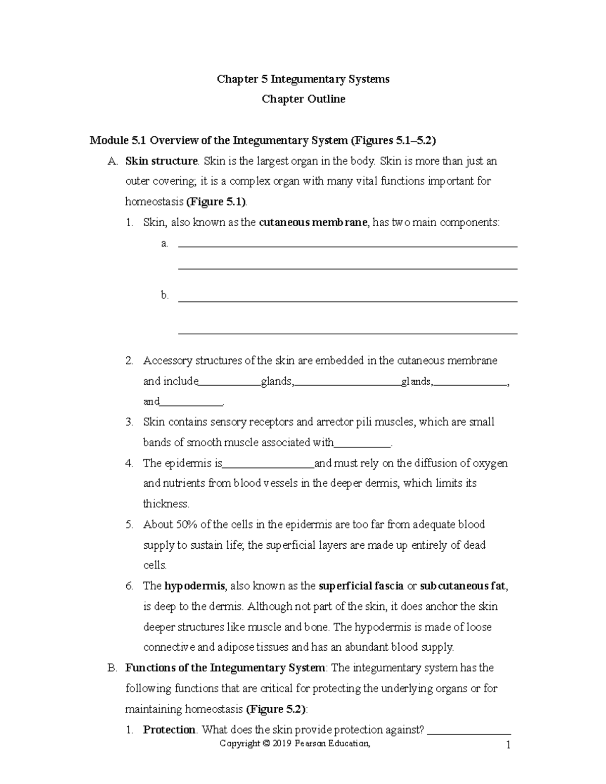 Chapter 5 Outline Module - Chapter 5 Integumentary Systems Chapter Outline Module 5 Overview of ...