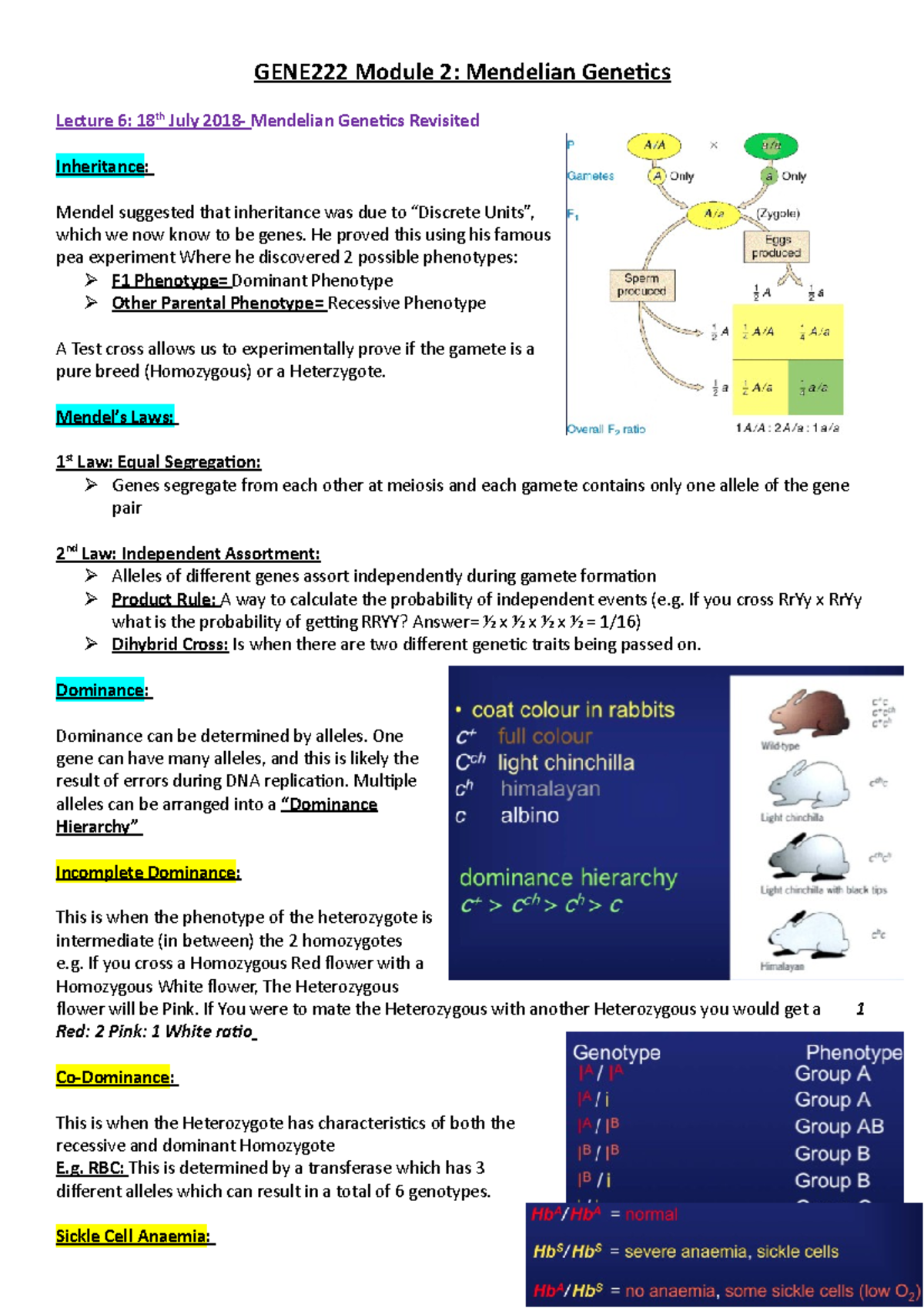 GENE222 Module 2 - Lecture notes 6-8 - GENE222 Module 2: Mendelian ...