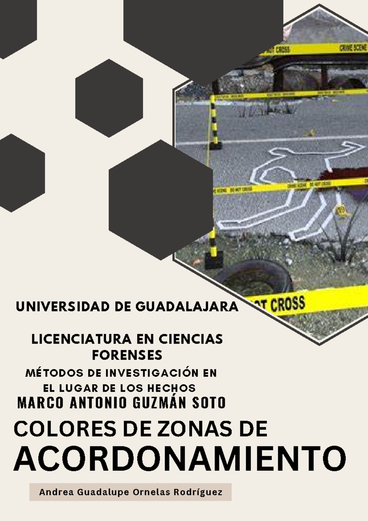 Colores y Significado de Zonas de Acordonamiento en Investigación - Studocu