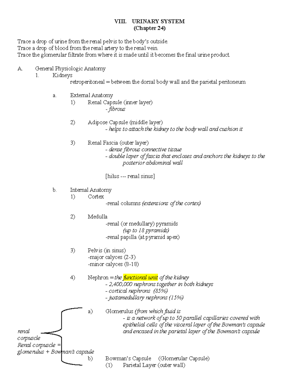Lecture notes Urinary System - VIII. URINARY SYSTEM (Chapter 24) Trace ...