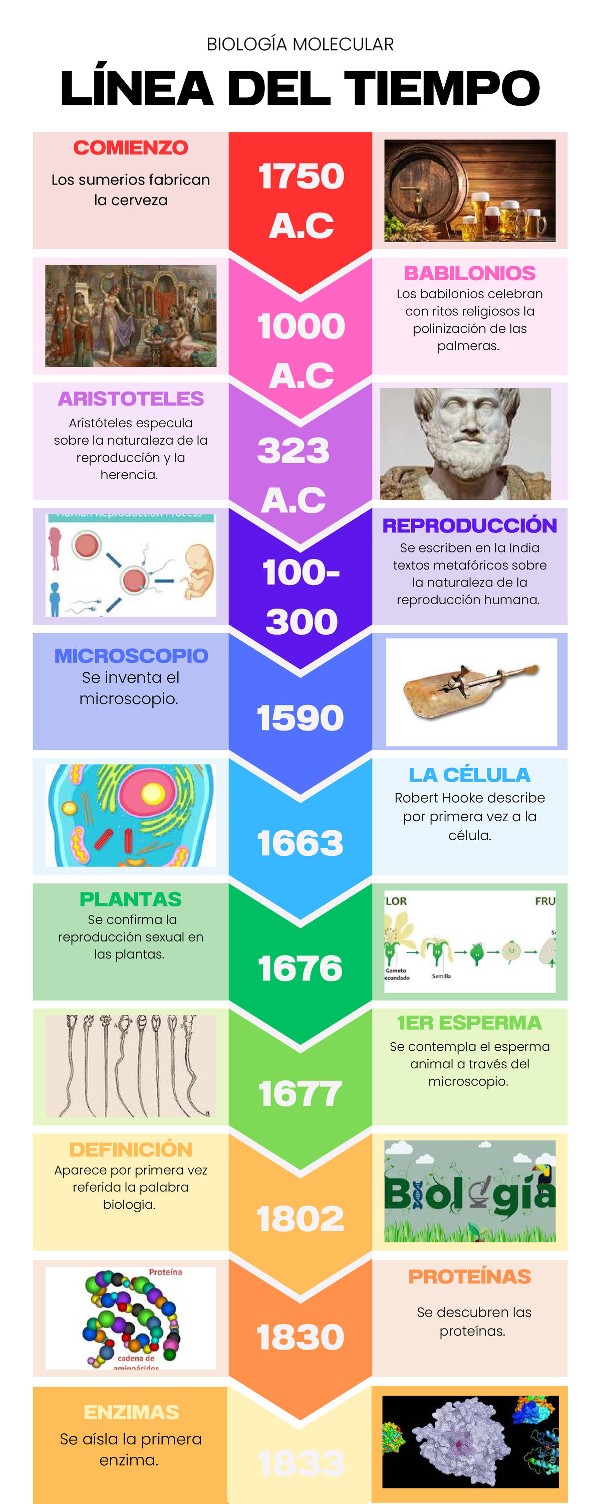 Línea Del Tiempo De La Biología Molecular Avances Históricos Y